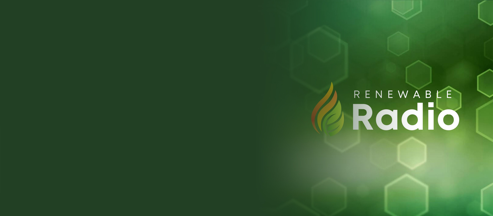 Testimonial - Ashley Hale, Founder of the Hale Group